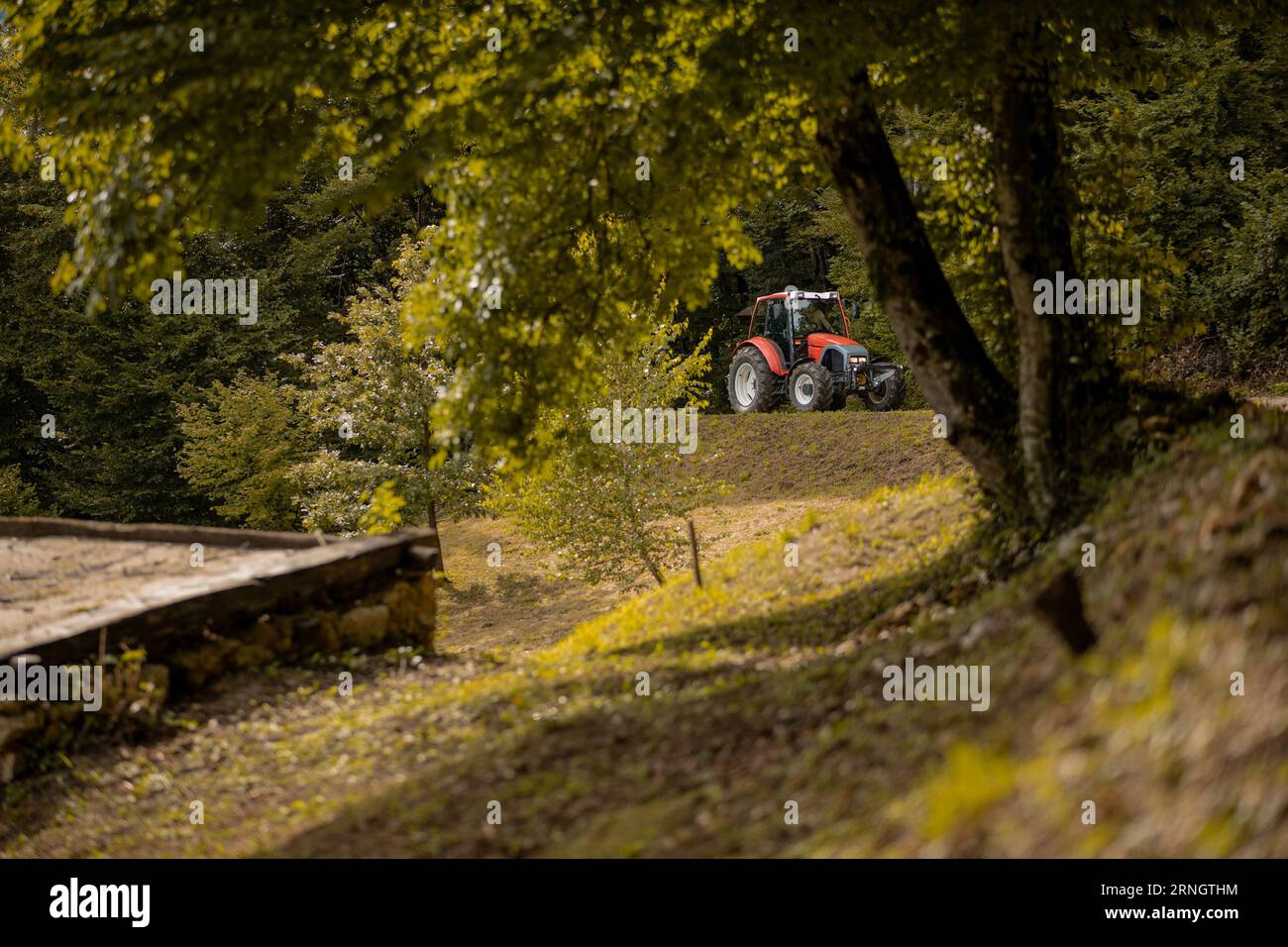 Red tractor approaching the camera on a small gravel road in the forest ...