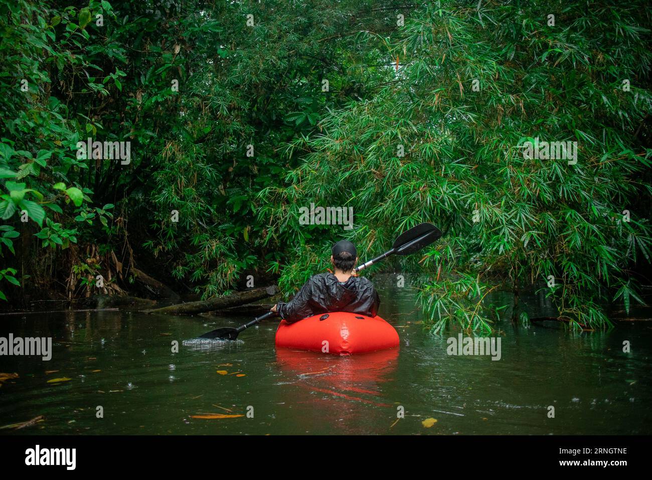 Unknown man in a red kayak floating towards lush vegetation visible ...