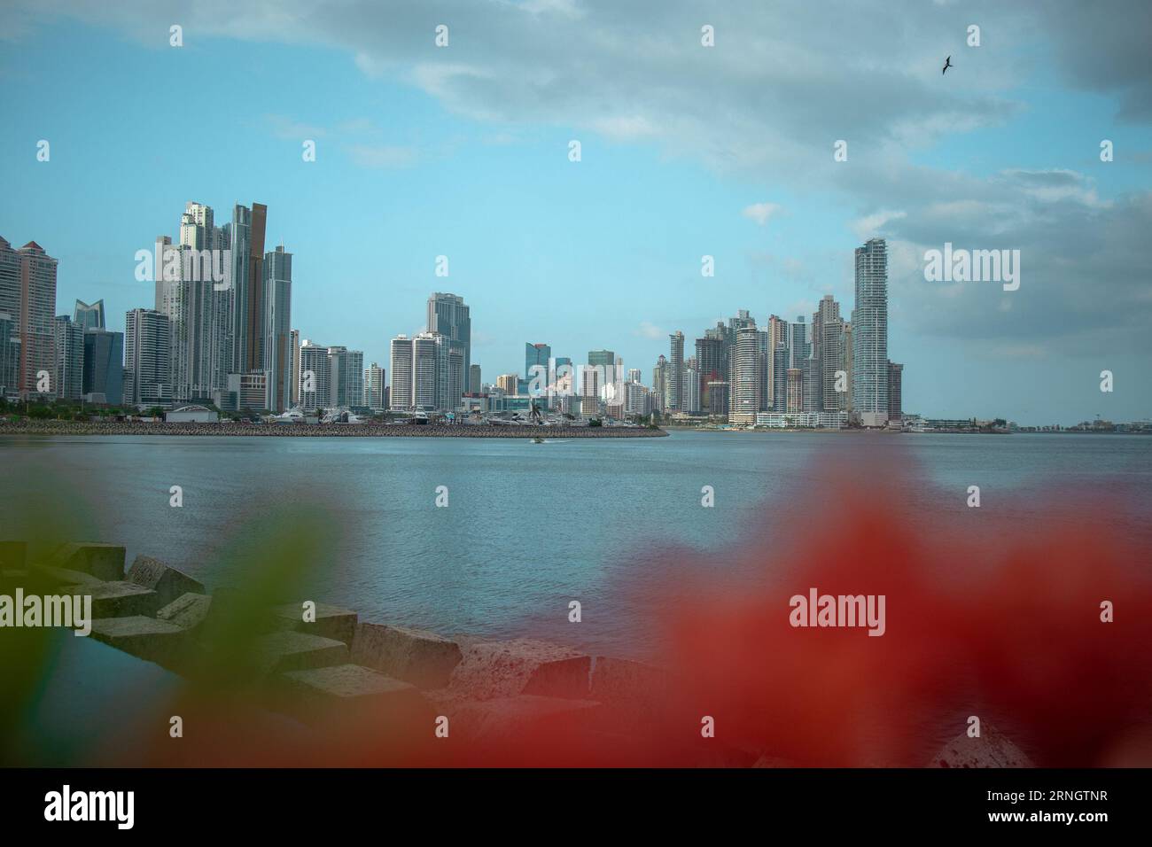 Cityscape of Panama downtown with visible high skyscrapers and business ...