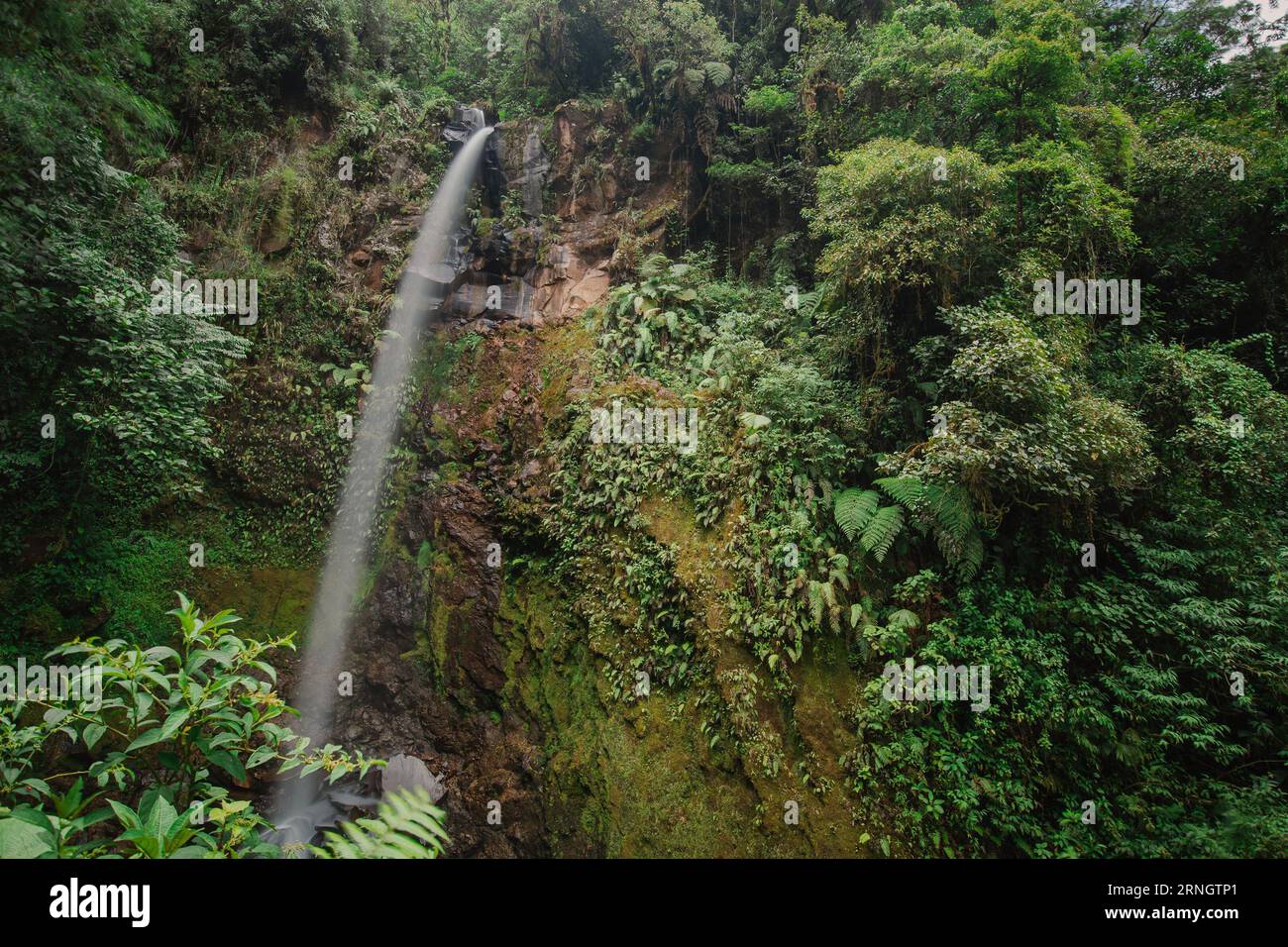 Beautiful single waterfall in Boquete part of Panama called the hidden ...