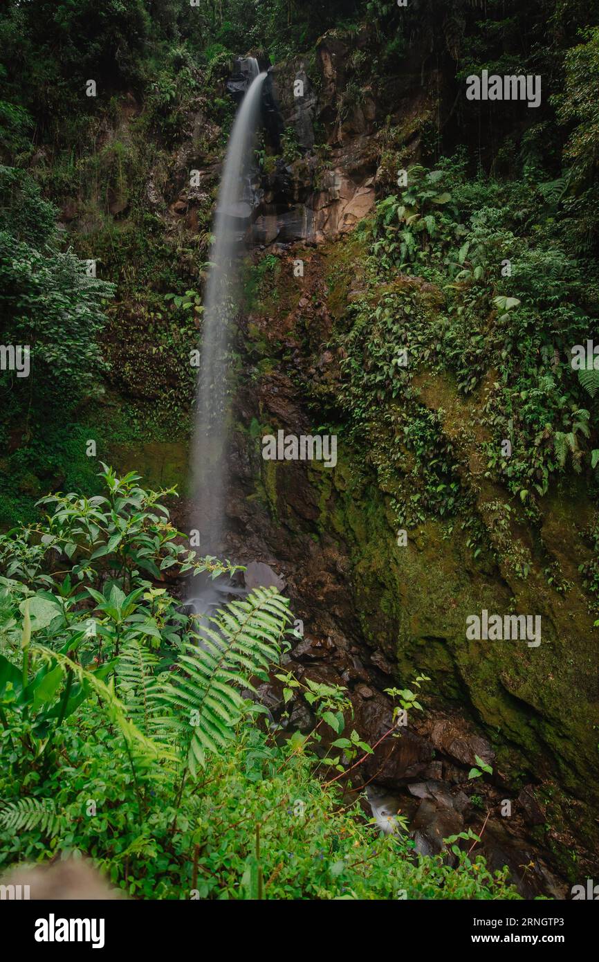 Beautiful single waterfall in Boquete part of Panama called the hidden ...