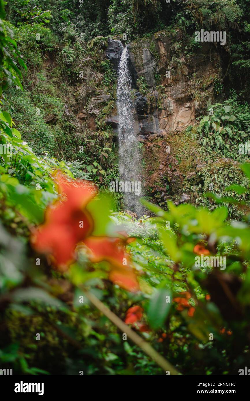 Beautiful single waterfall in Boquete part of Panama called the hidden ...