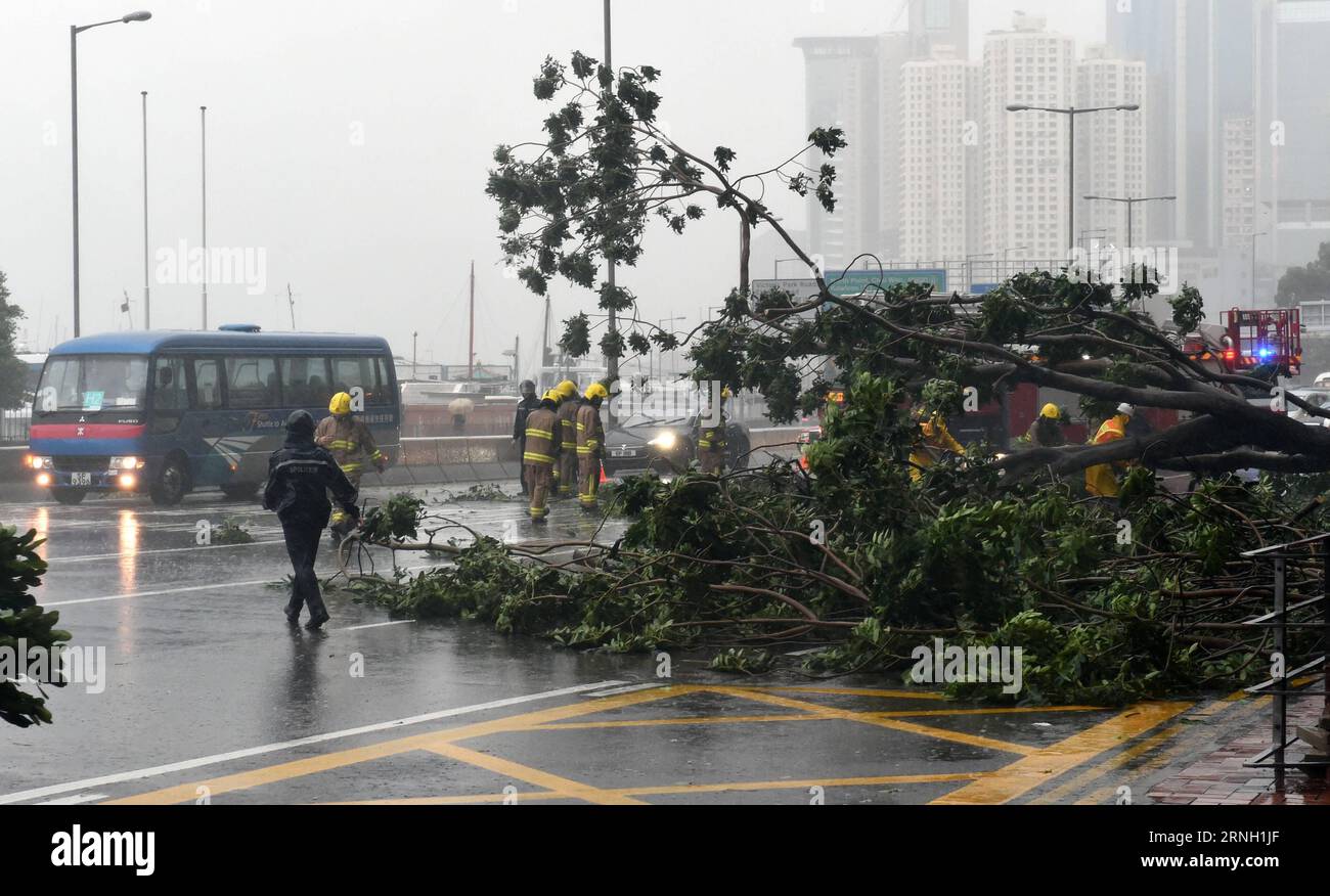 Hong kong typhoon tree hi-res stock photography and images - Alamy