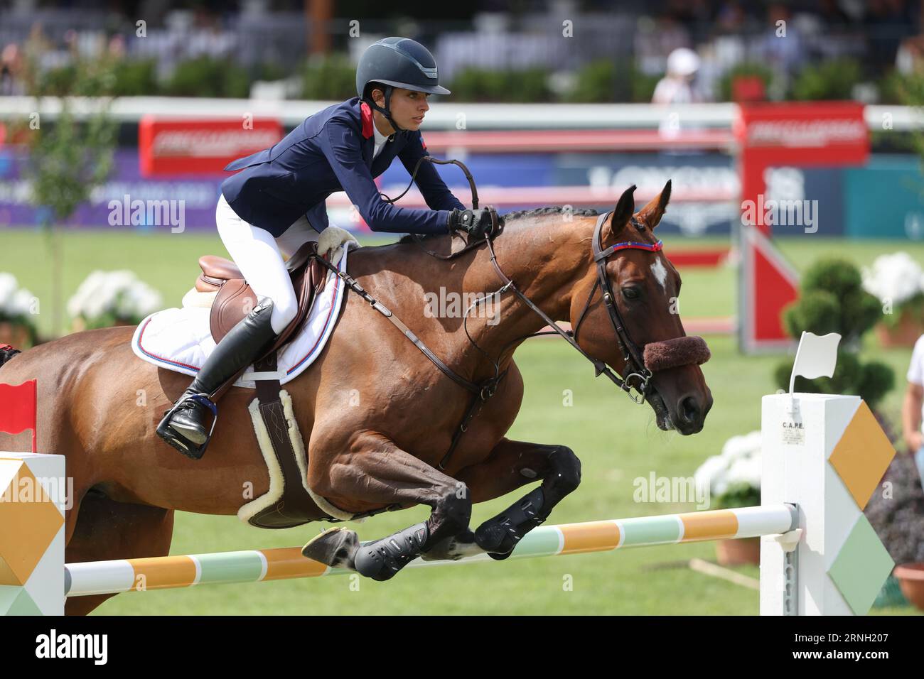 Jennifer hochstadter hi-res stock photography and images - Alamy