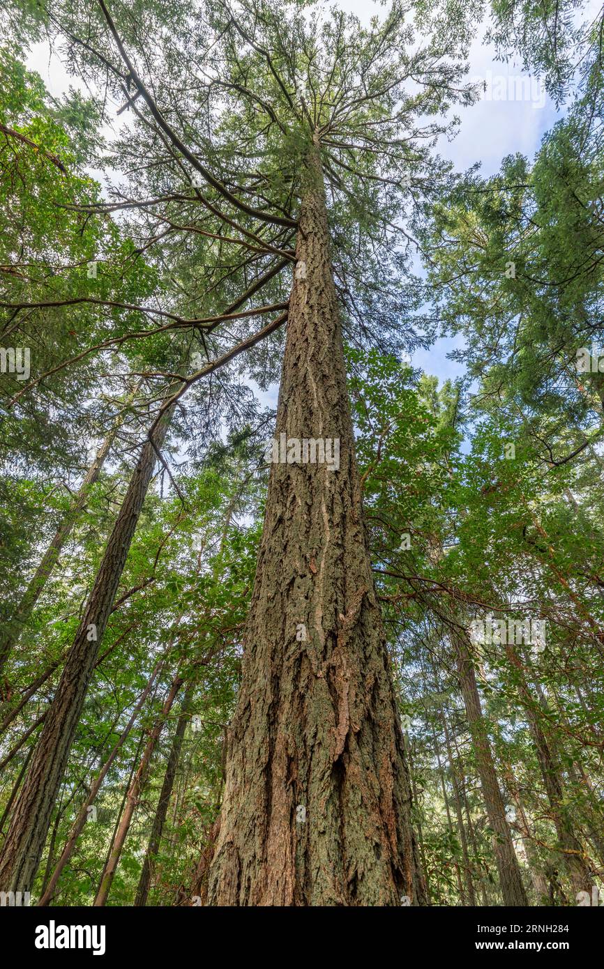 Bear hill regional park hi-res stock photography and images - Alamy