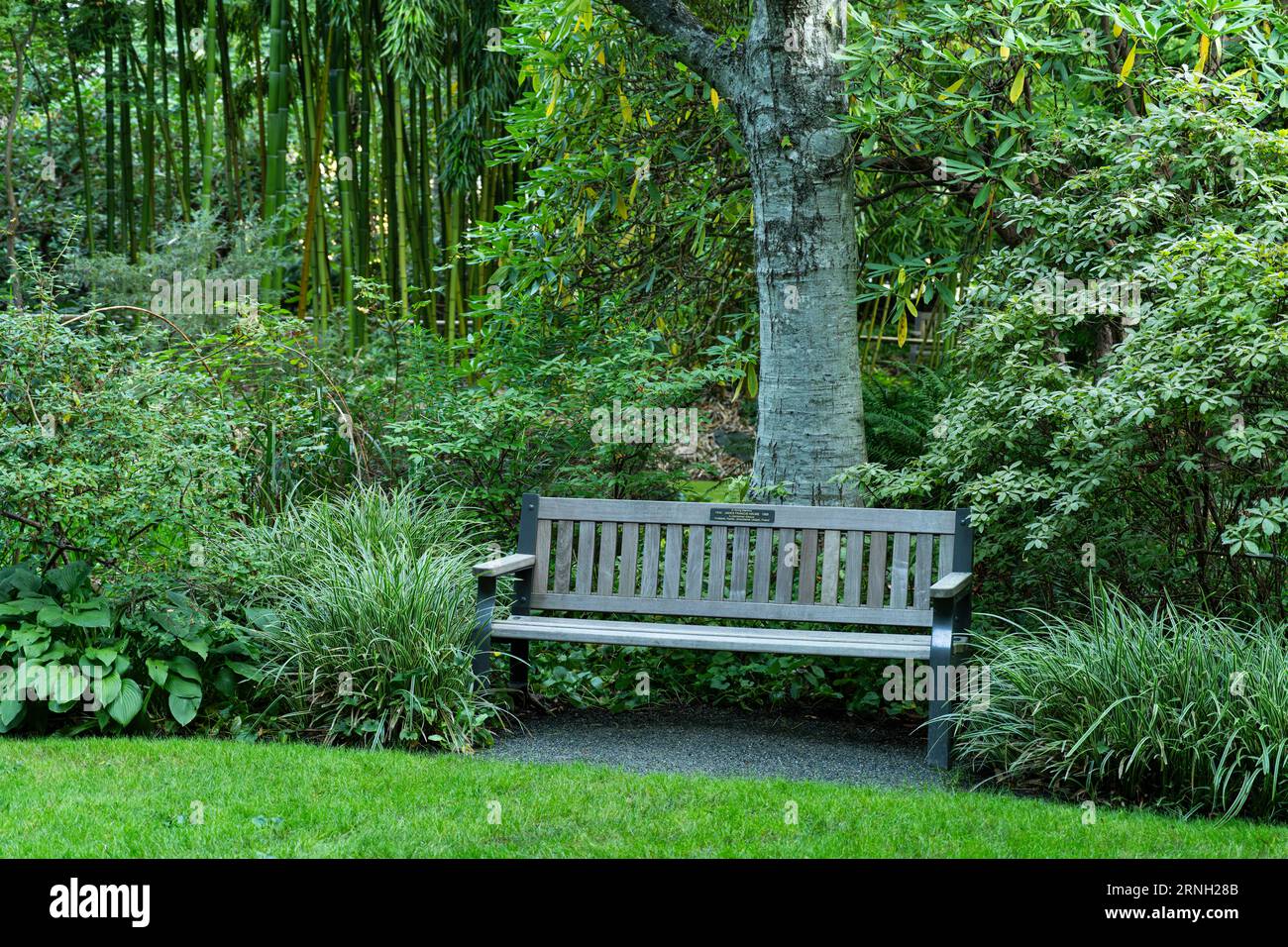 A bench in Finnerty Gardens at the University of Victoria in British ...