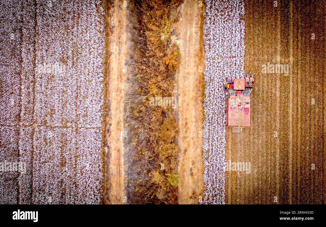 Tari basin hi-res stock photography and images - Alamy