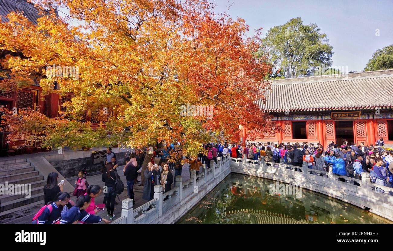 (161026) -- BEIJING, Oct. 26, 2016 -- Tourists view red leaves at ...