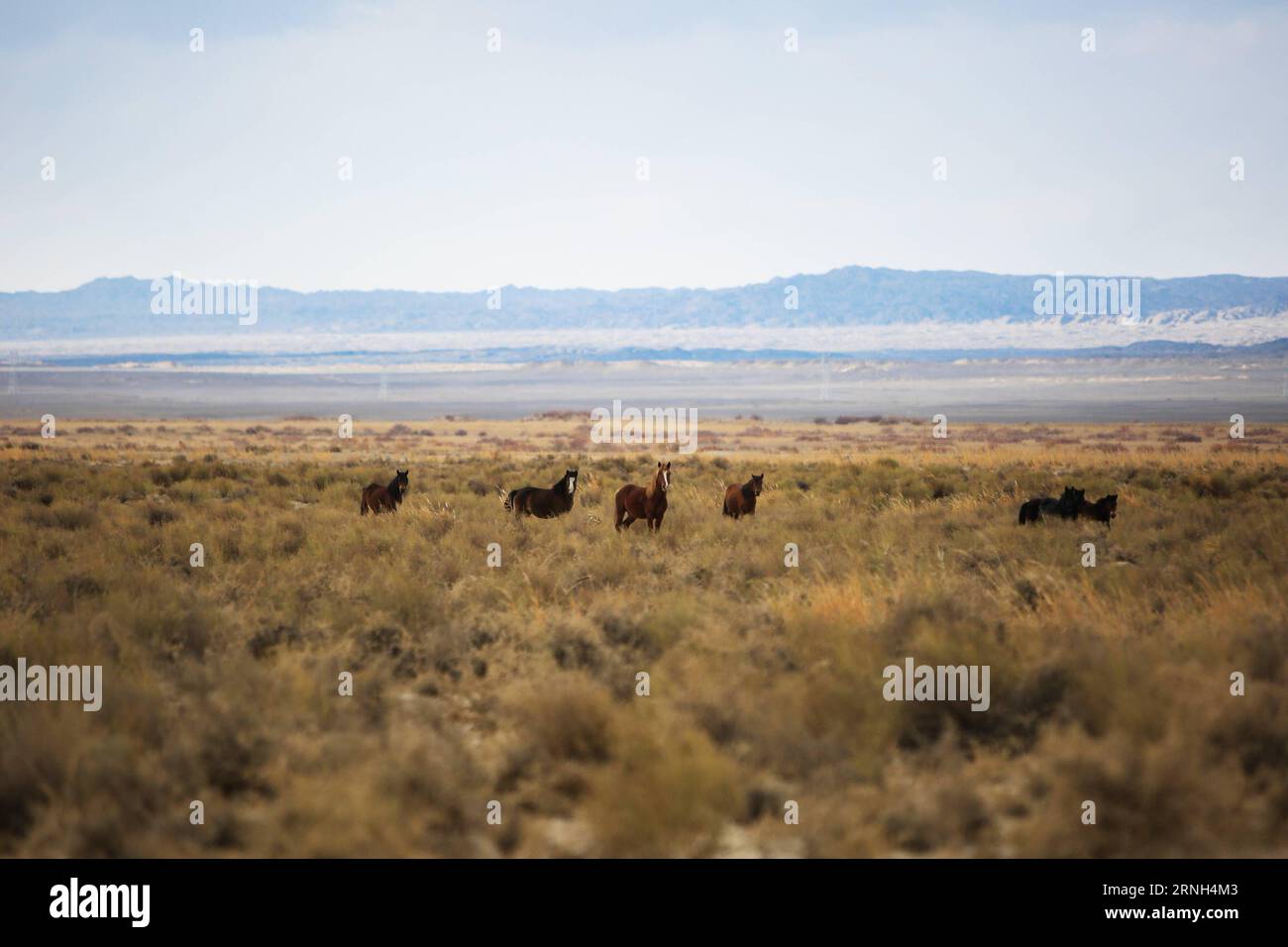 Shule river hi-res stock photography and images - Alamy