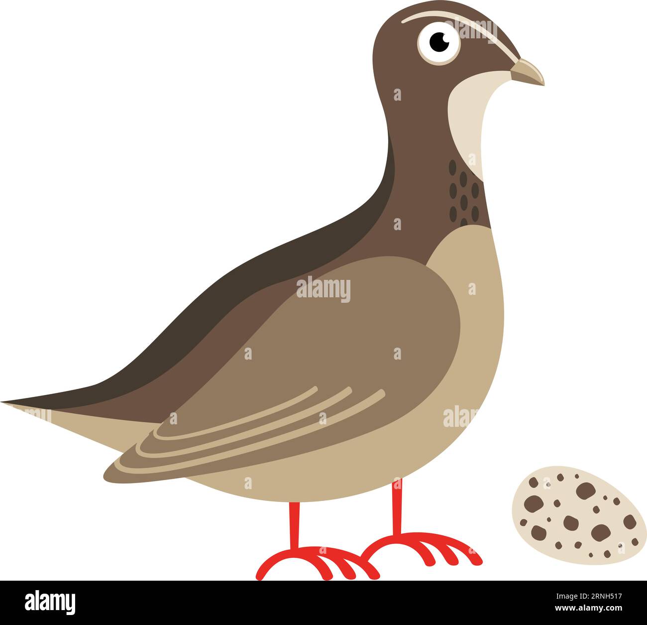 Cartoon animal hi-res stock photography and images - Alamy