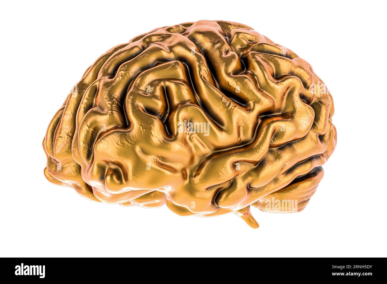 Golden Brain, side view. 3D rendering isolated on white background ...