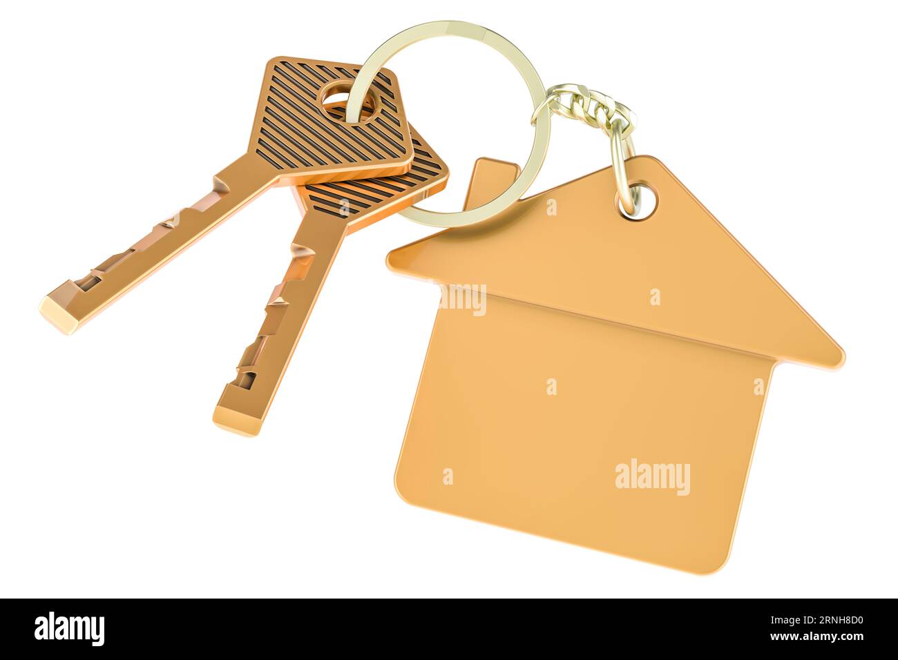 House key with keychain, 3D rendering isolated on white background ...
