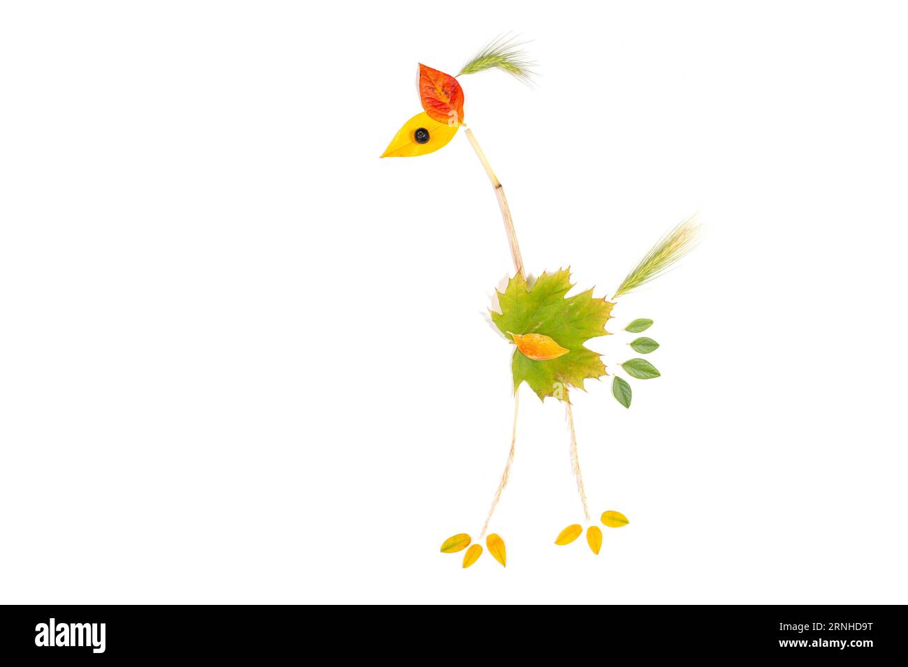 easy nature craft for kids, turtle made from leaves, ideas for autumn ...