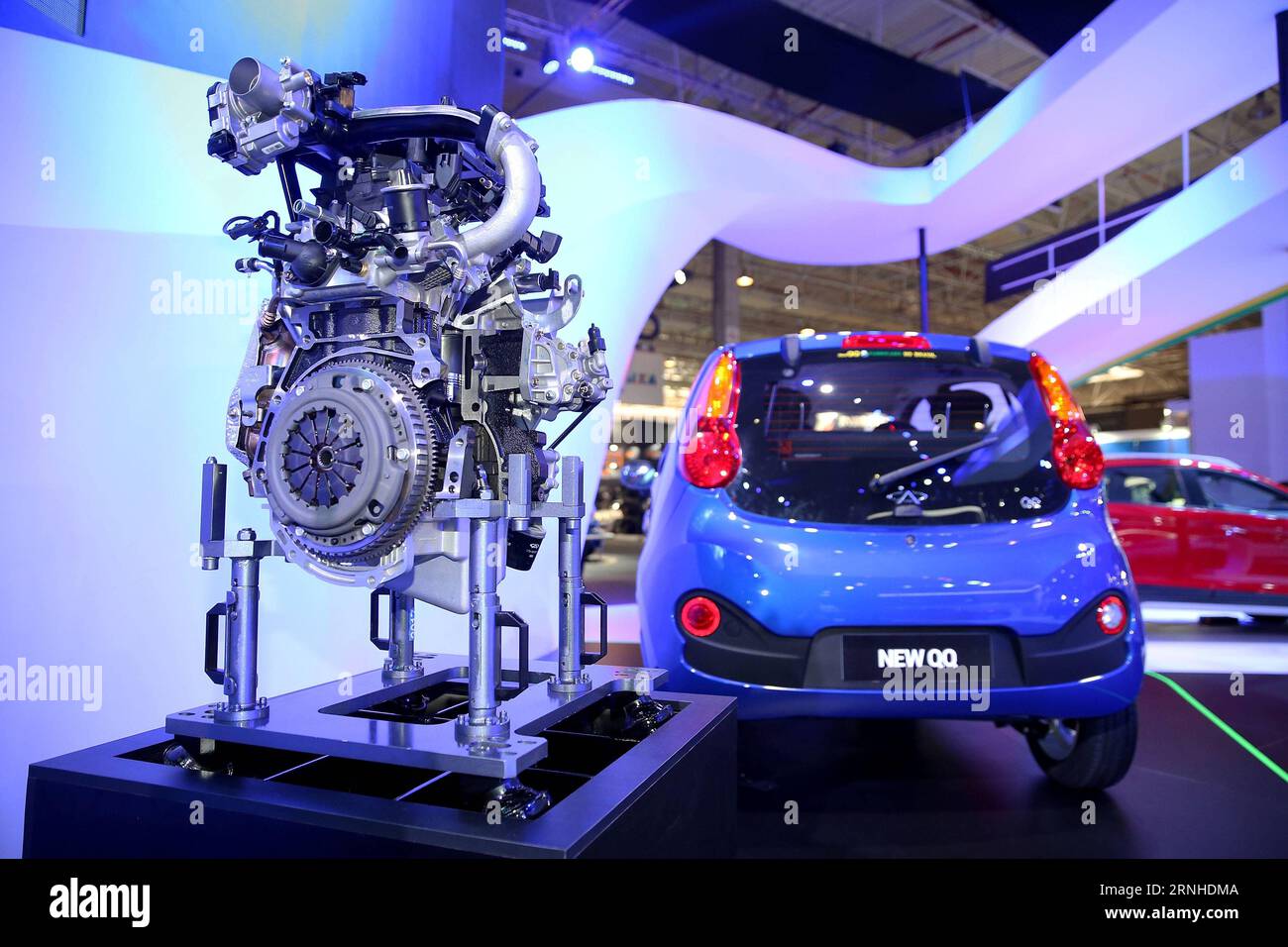 SAO PAULO, Nov. 11, 2016 -- Photo taken on Nov. 11, 2016 shows an ...