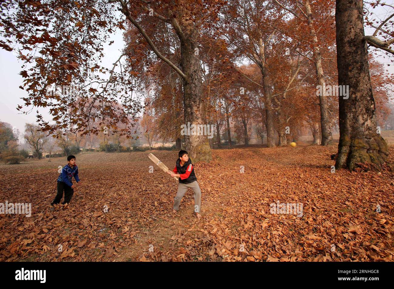 Indian children play cricket in hi-res stock photography and images - Alamy