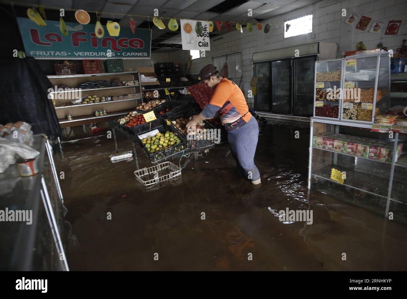(161127) -- ALAJUELA, Nov. 27, 2016 -- A woman tries to rescue ...