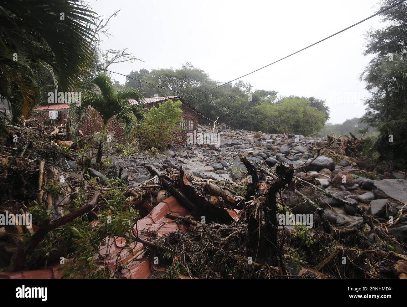 Dead 10 hi-res stock photography and images - Alamy