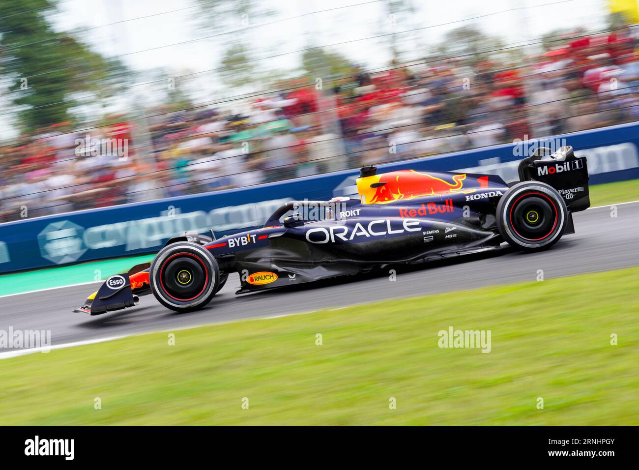 Monza, Italy. 1 Sep, 2023. Max Verstappen of Netherlands driving the (1 ...