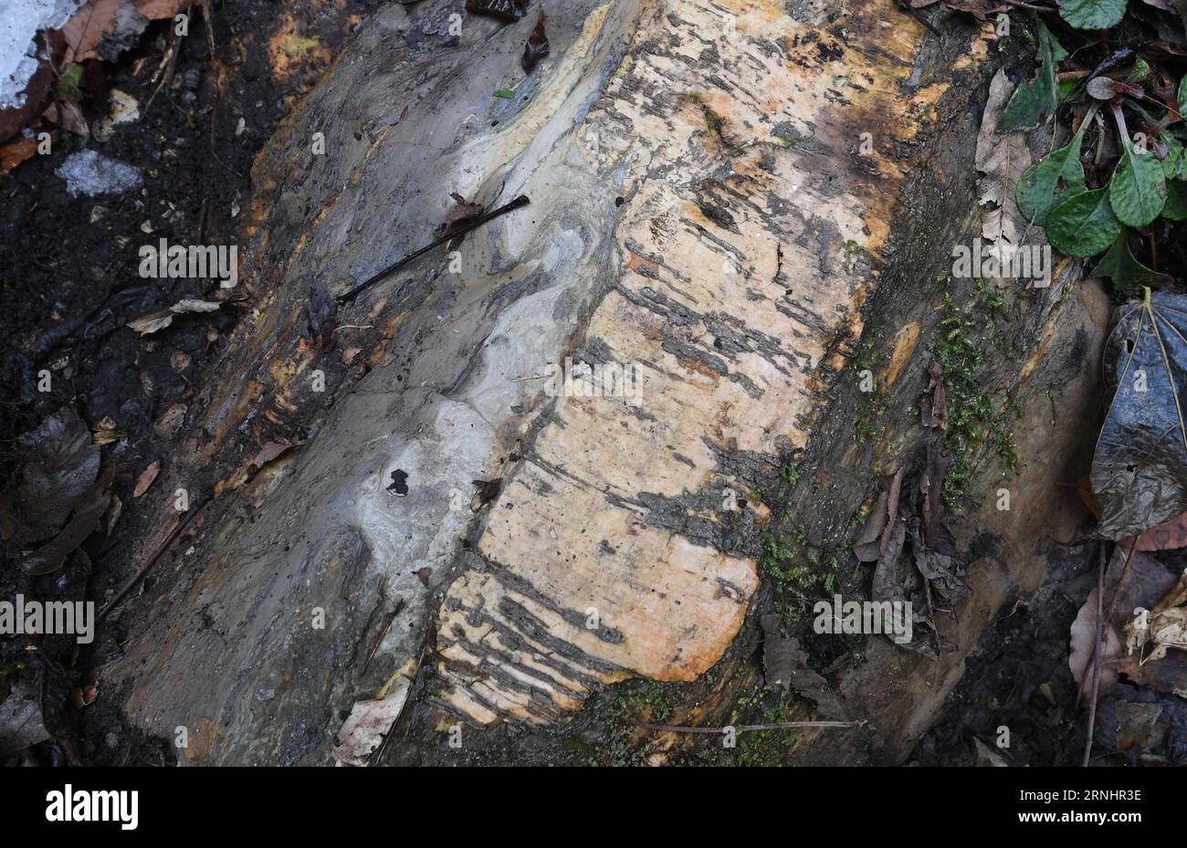 Giant sinkhole china hi-res stock photography and images - Alamy