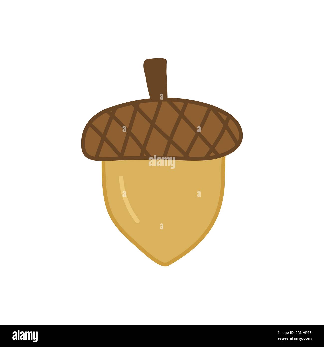 Acorn or oaknut, doodle style flat vector illustration Stock Vector ...