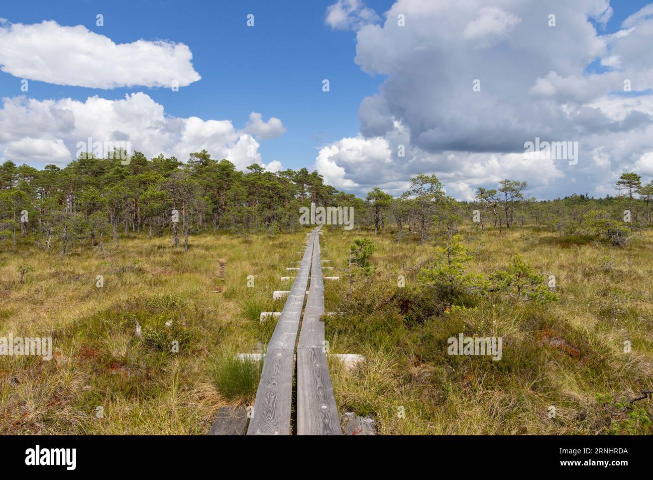 Estonian nature trail hi-res stock photography and images - Alamy