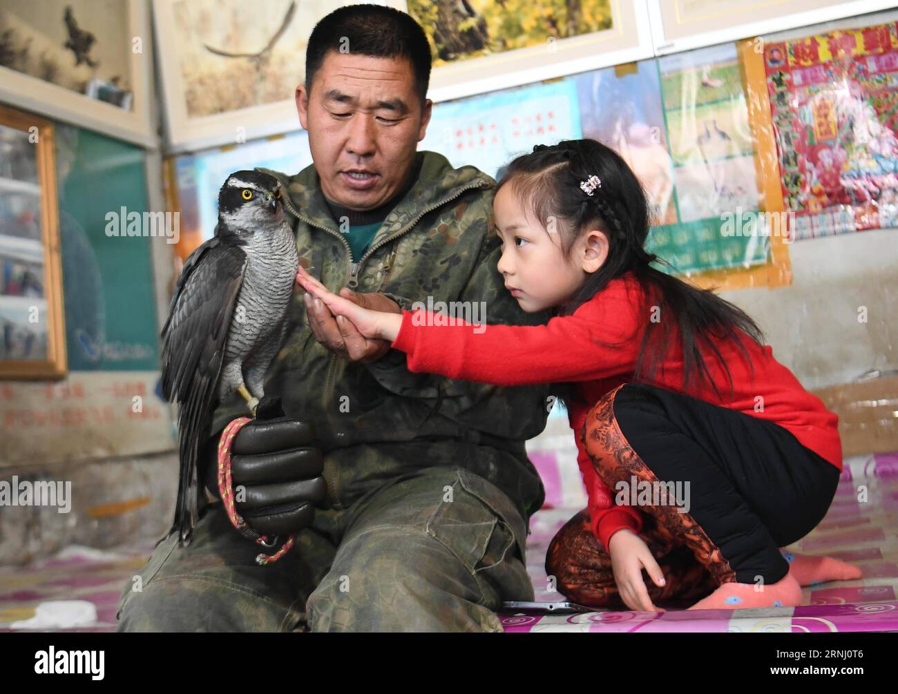 Eagles hunting china hi-res stock photography and images - Alamy
