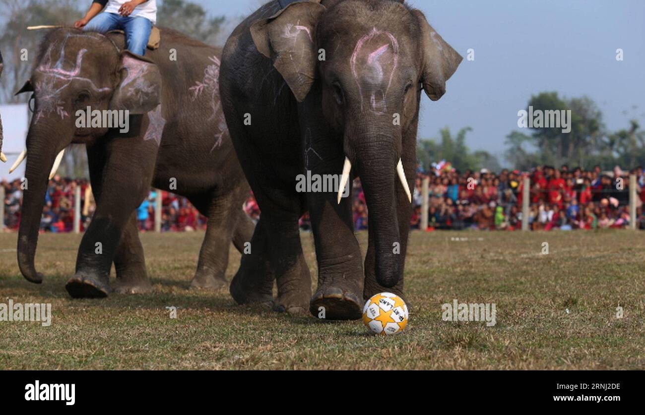Celebrities playing football hi-res stock photography and images - Alamy