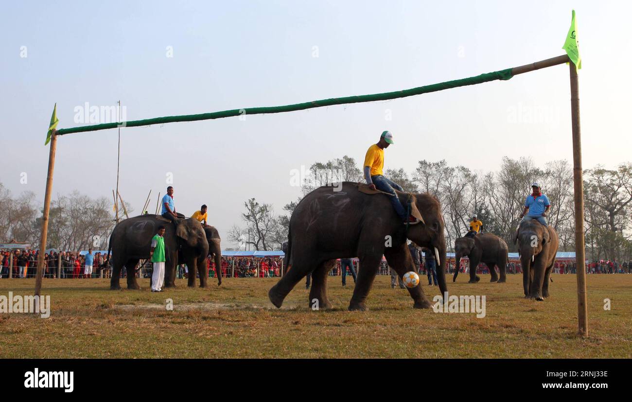 Elefantenfussball hi-res stock photography and images - Alamy