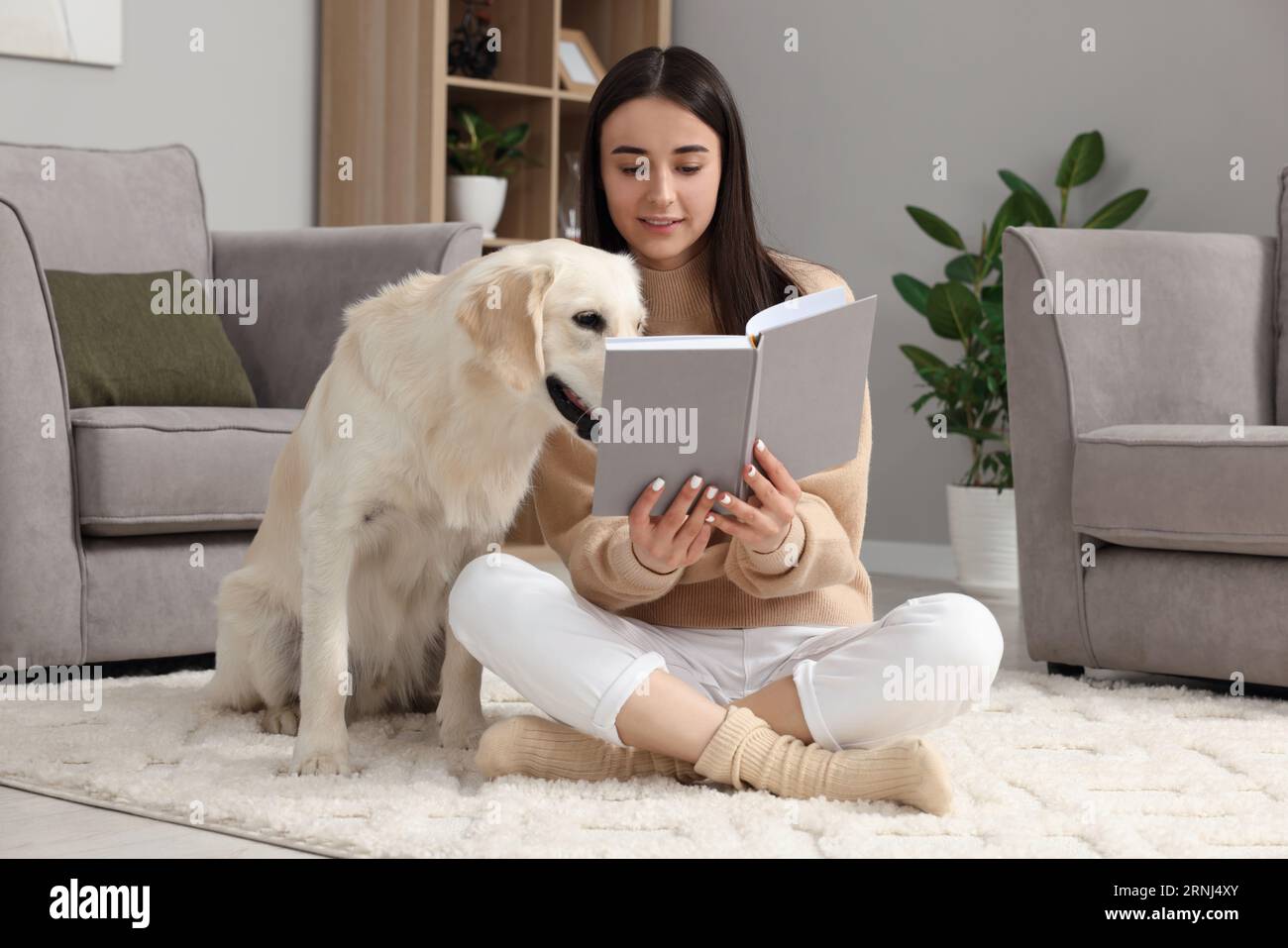 Woman reading book with cute Labrador Retriever dog at home. Adorable ...