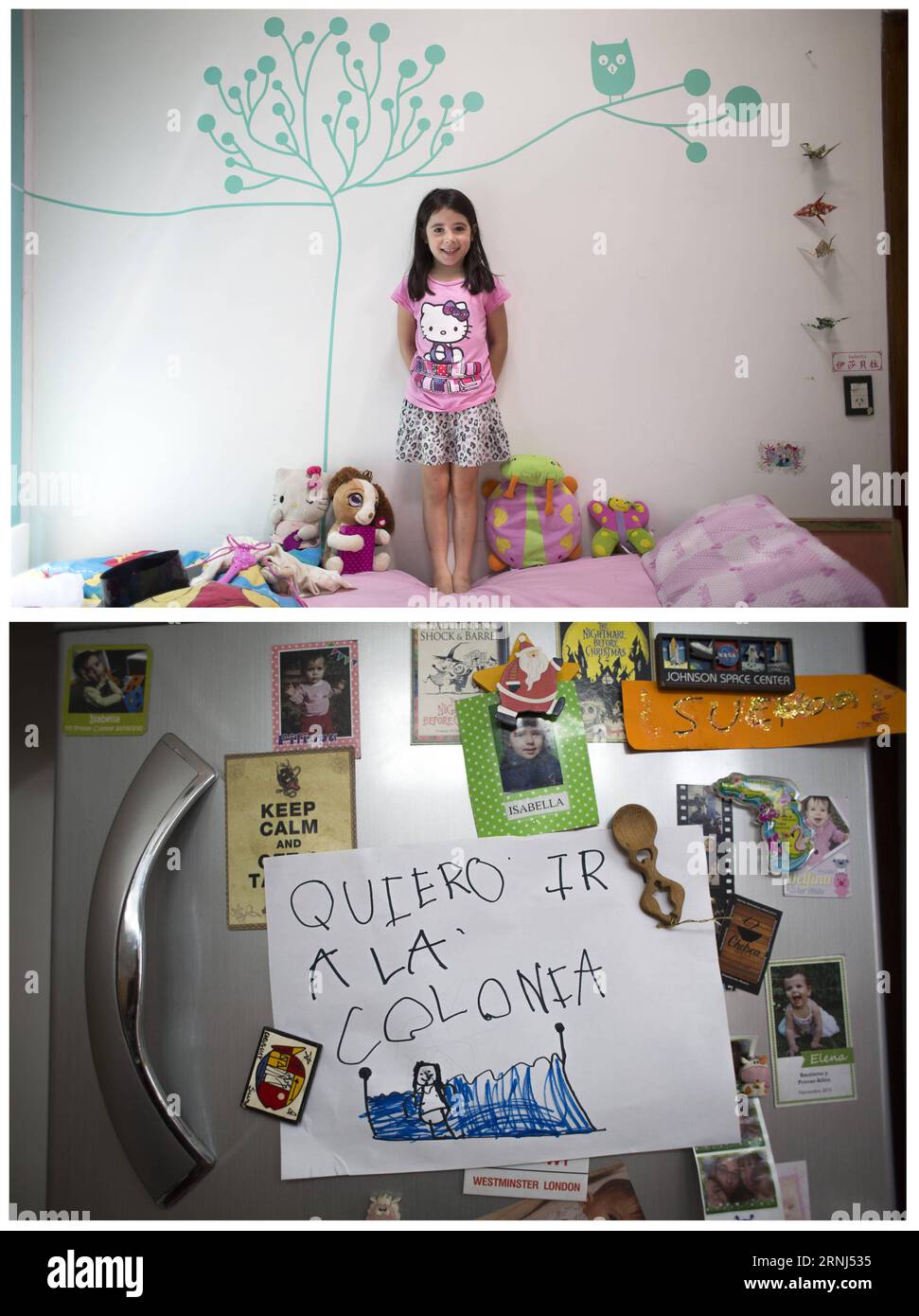 1 martin Cut Out Stock Images & Pictures - Alamy