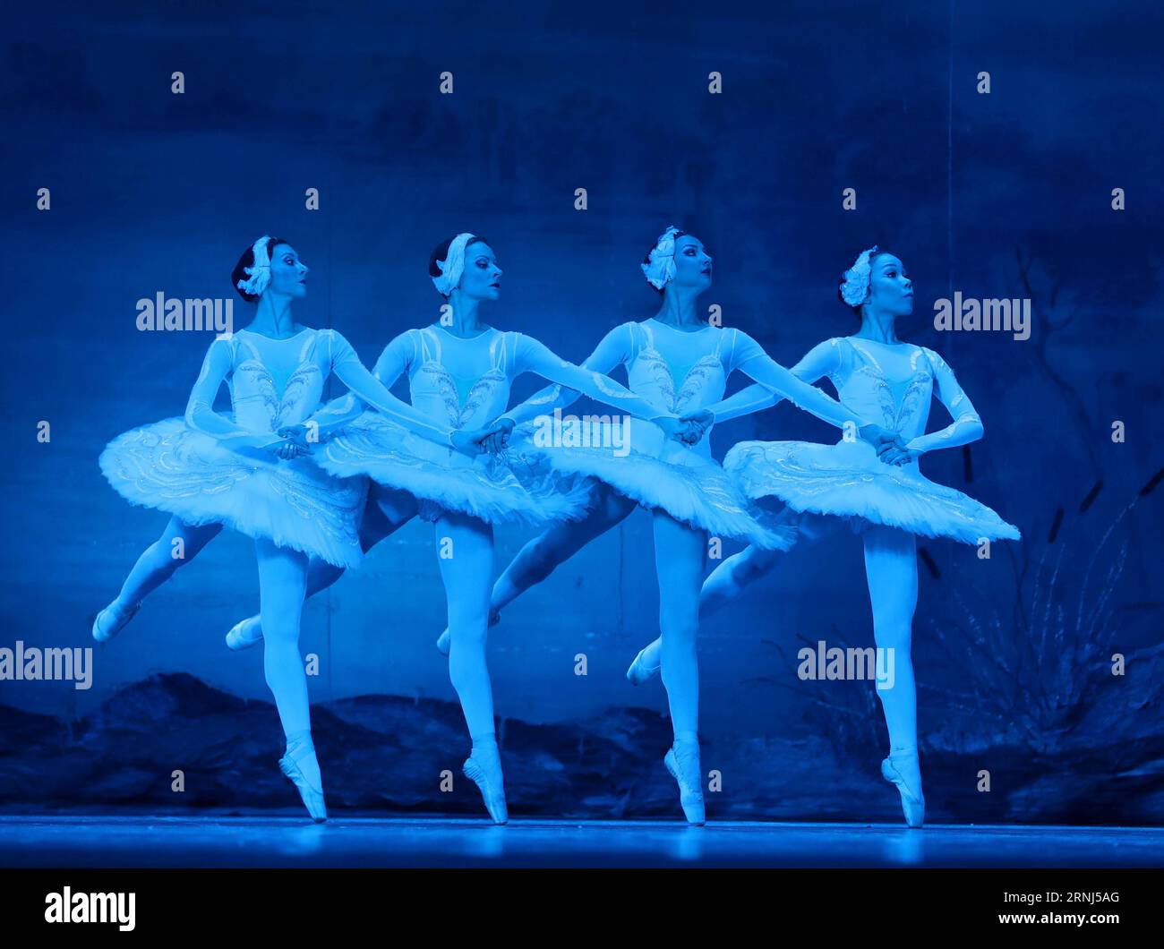 Schwanensee ballet hi-res stock photography and images - Alamy