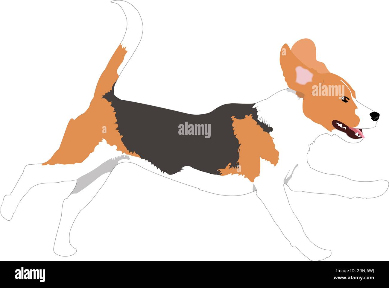 Beagle running side view on a white backgound Stock Vector Image & Art - Alamy