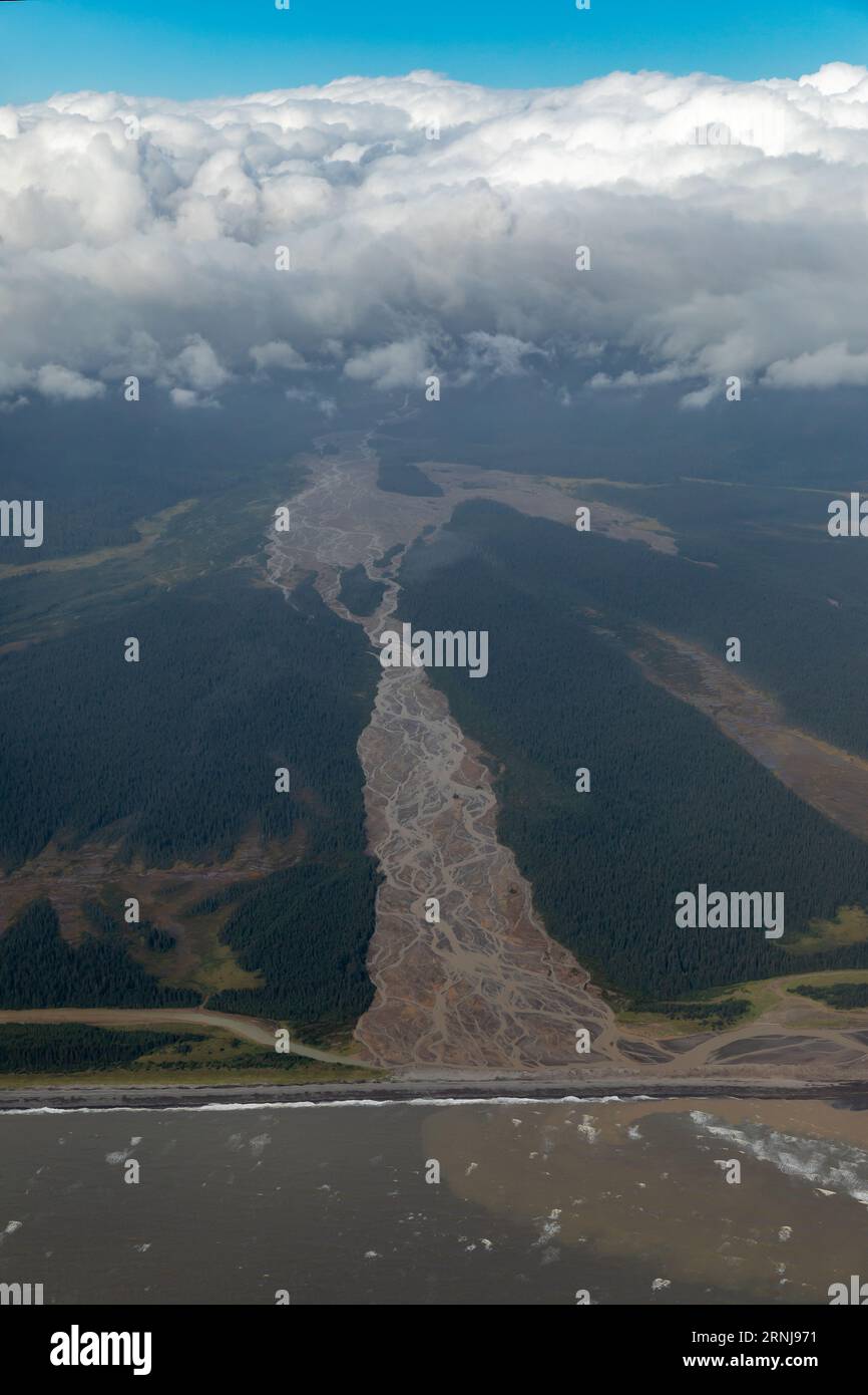 An aerial view shows a braided river flowing through a forest and ...