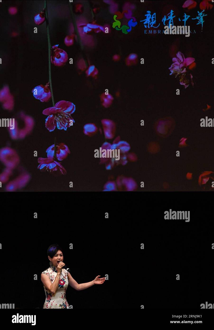 (170110) -- NEW YORK, Jan. 9, 2017 -- Chinese singer Chen Junhua sings ...