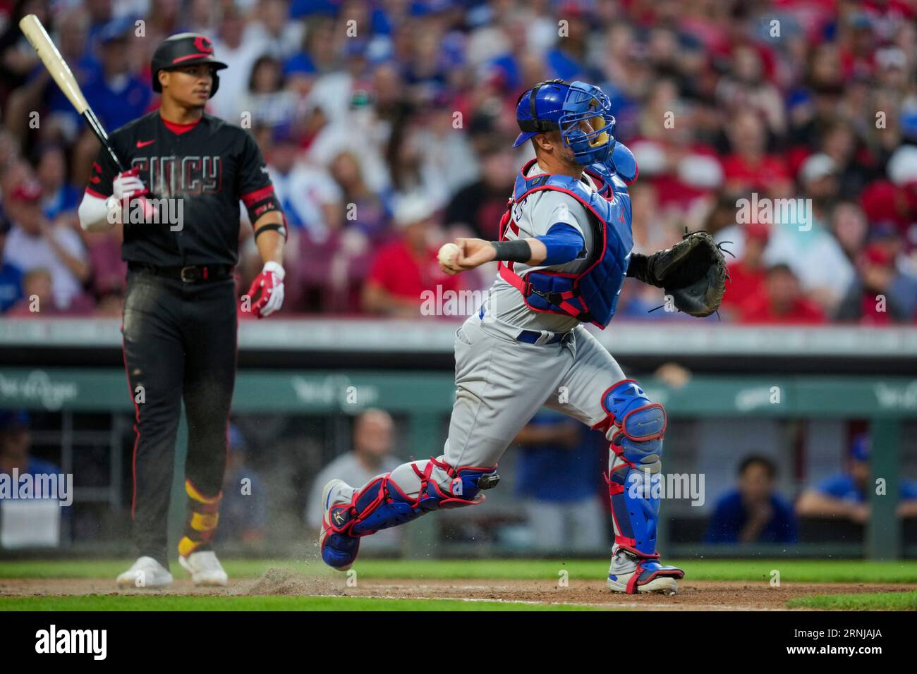 Chicago Cubs' Yan Gomes, right, throws out Cincinnati Reds' Will Benson ...