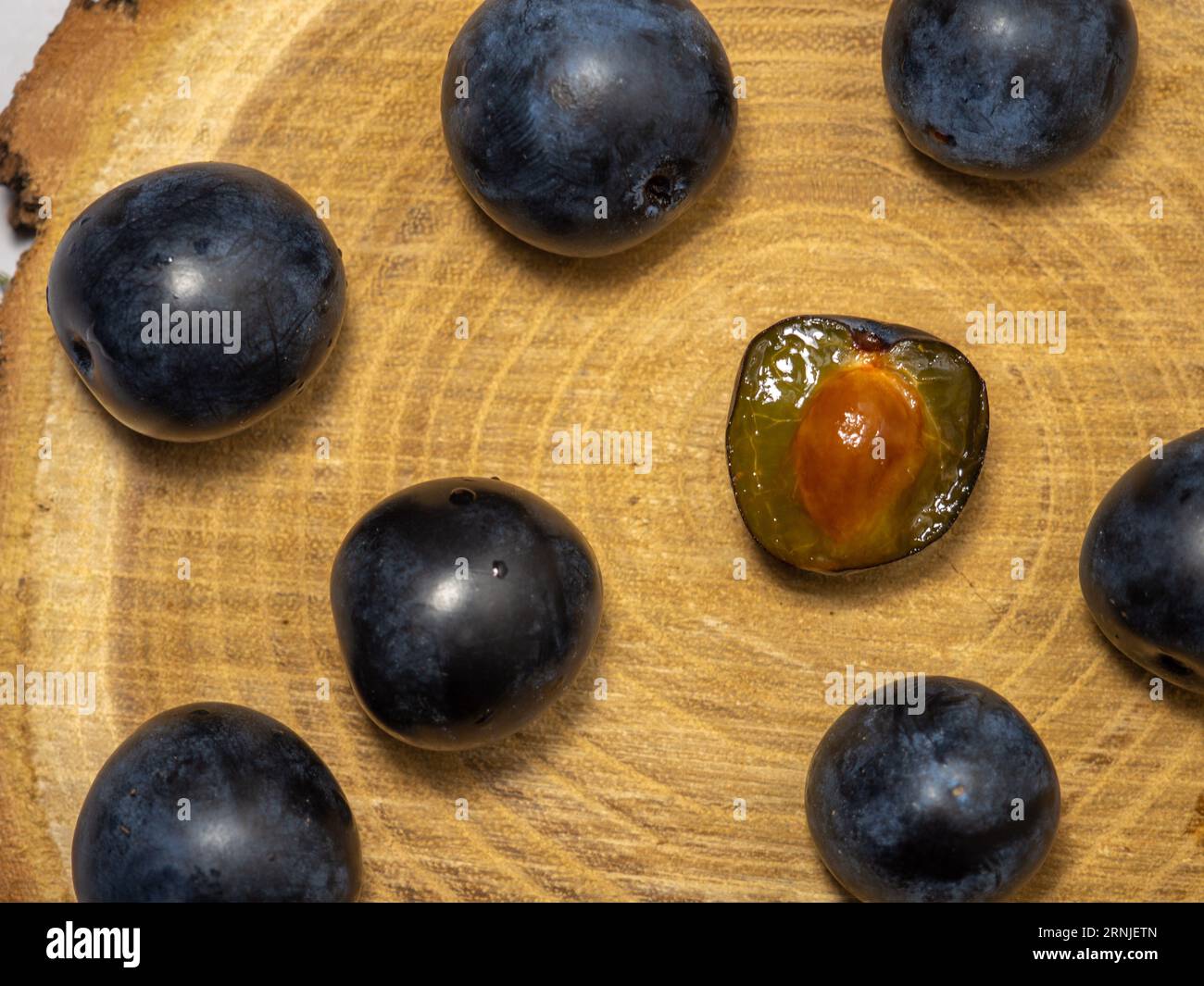 The fruit of Blackthorn. Type of plum genus. early fruit. Tart sour ...