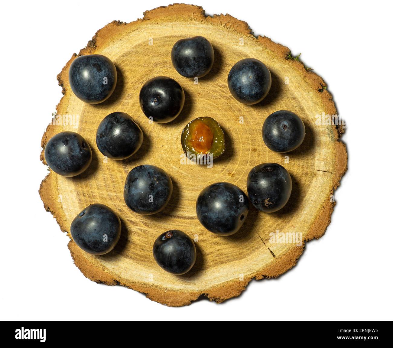 The fruit of Blackthorn. Type of plum genus. early fruit. Tart sour ...