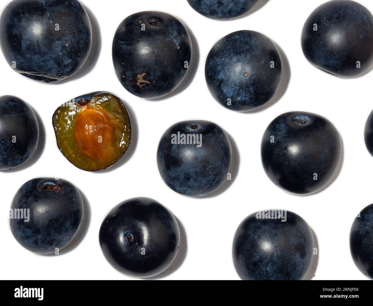 The fruit of Blackthorn. Type of plum genus. early fruit on a white ...