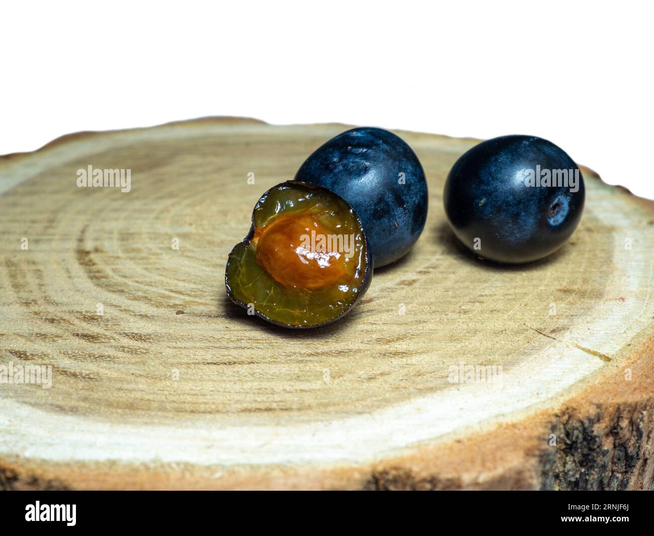 fruit of Blackthorn. Type of plum genus. early fruit on a white ...