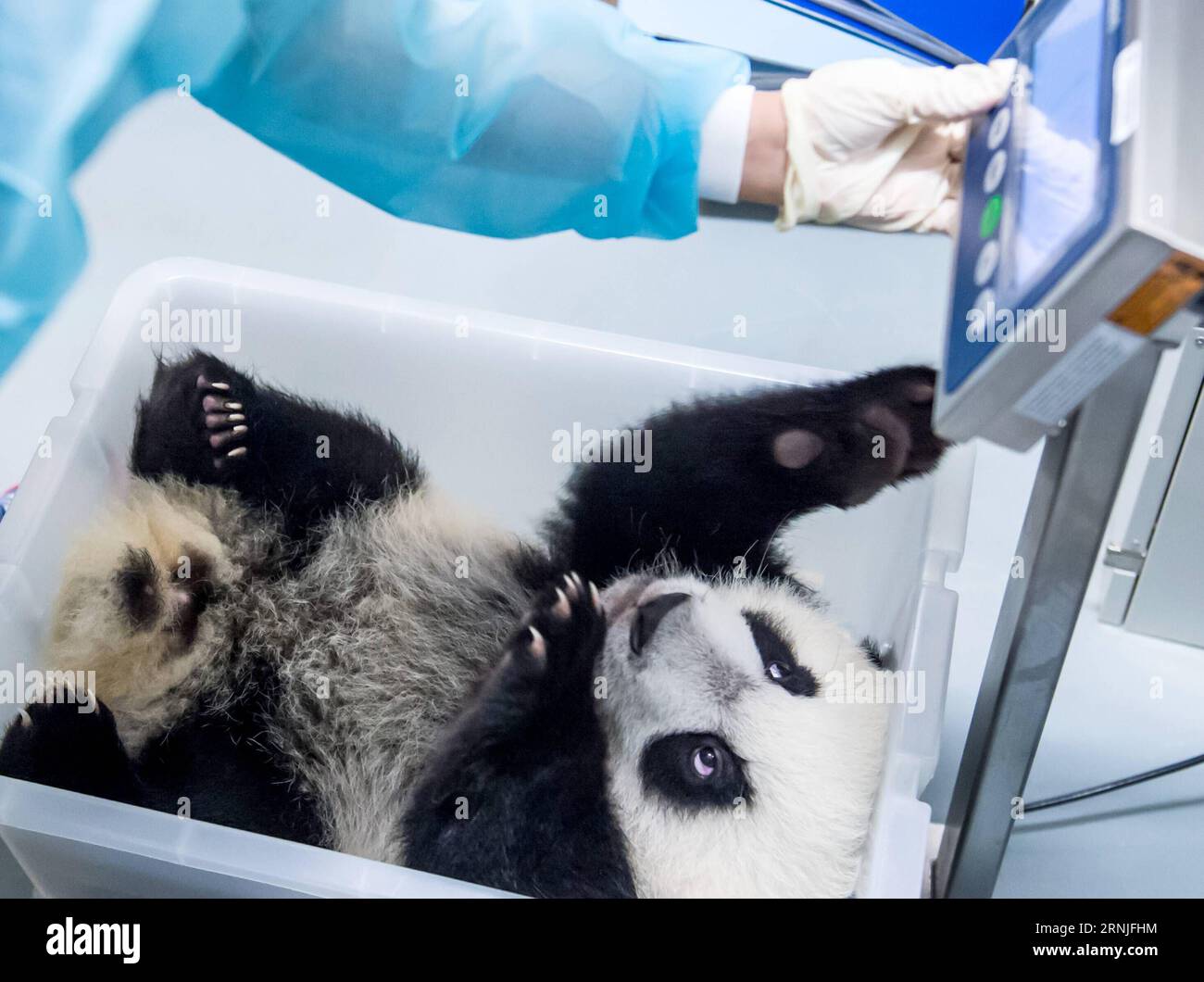 Meet the keeper hi-res stock photography and images - Alamy