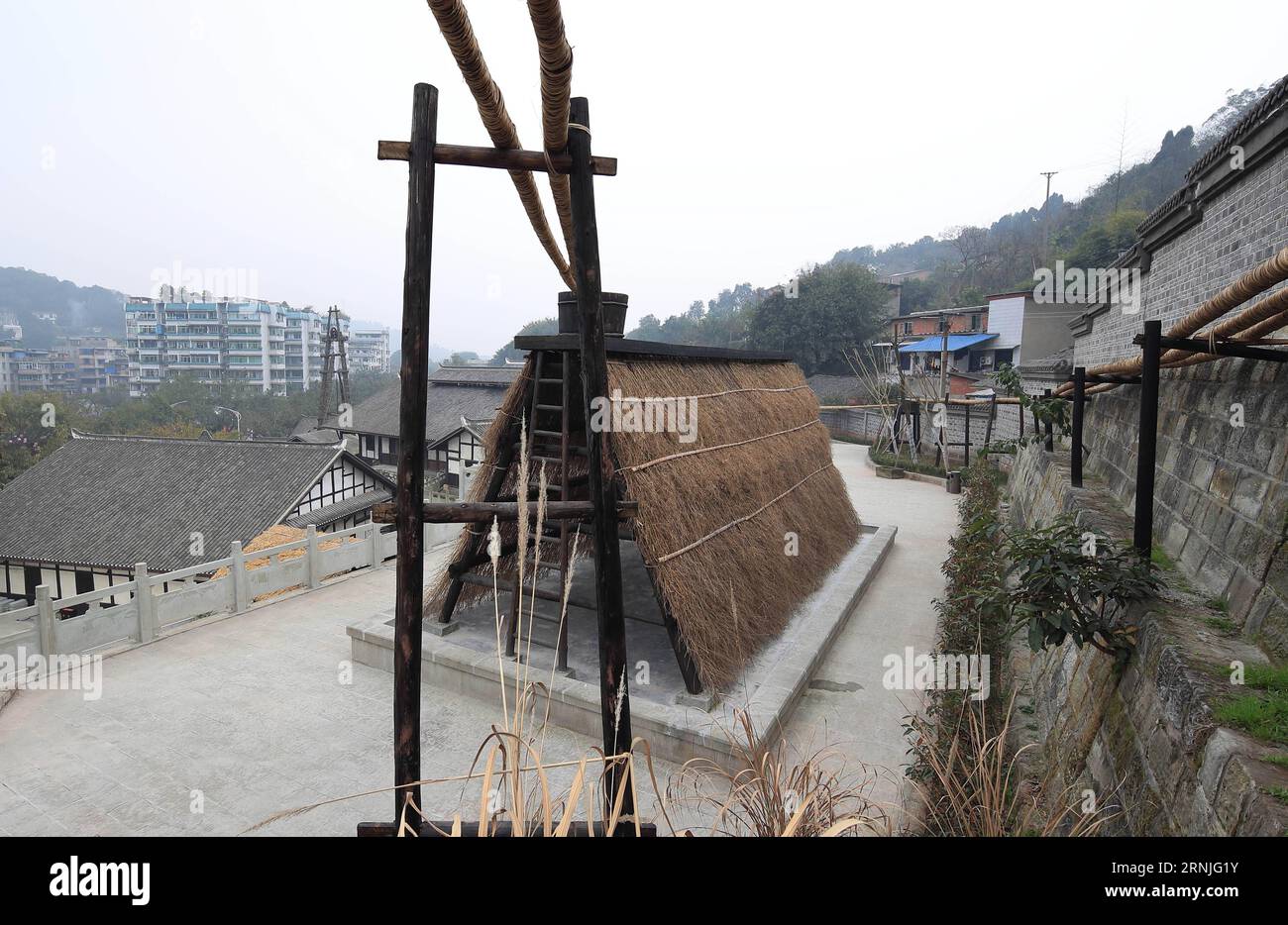 (170123) -- ZIGONG, Jan. 23, 2017 -- Photo taken on Jan. 23, 2017 shows ...