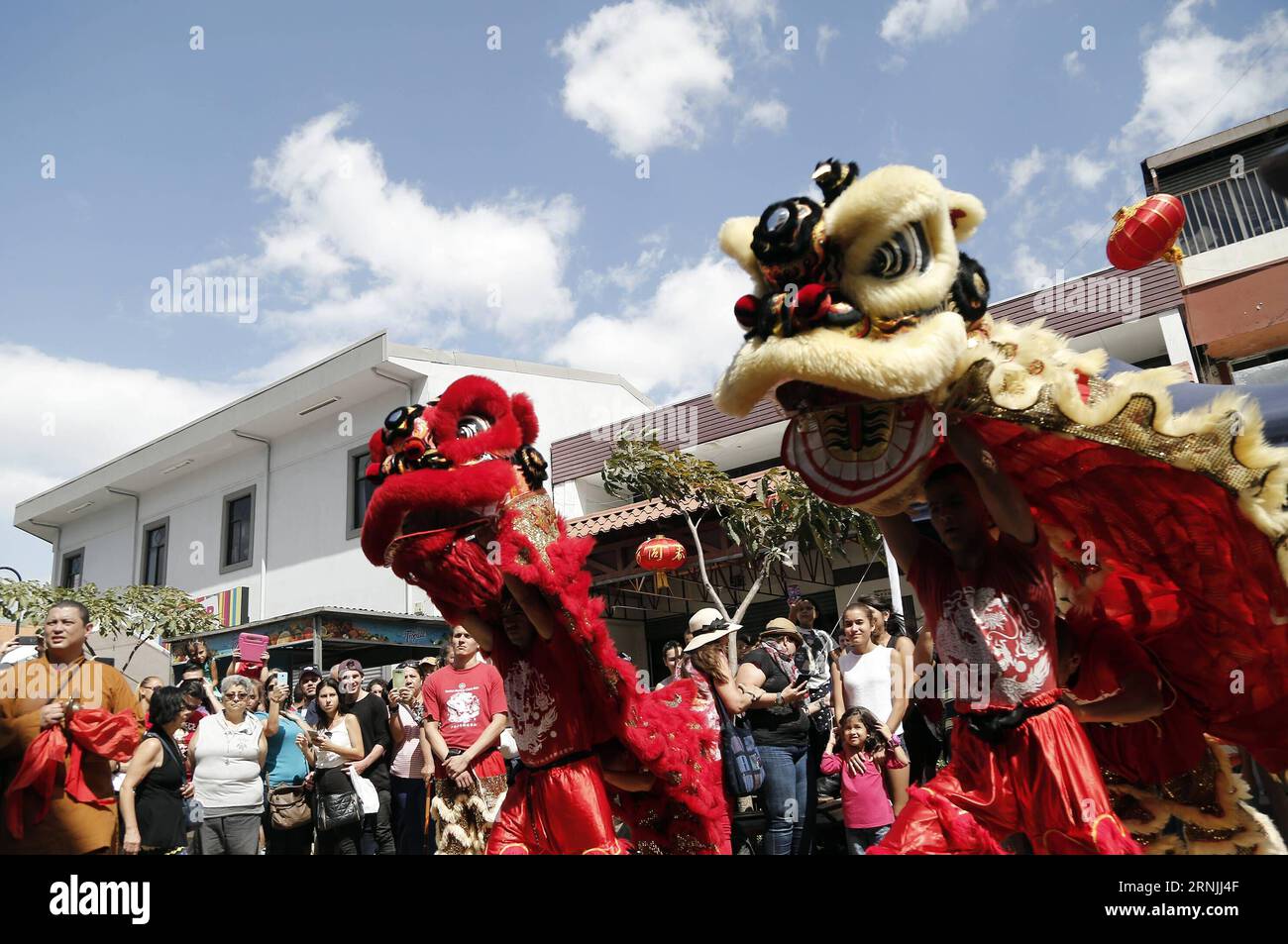 People perform the lion dance during the Chinese Lunar New Year ...