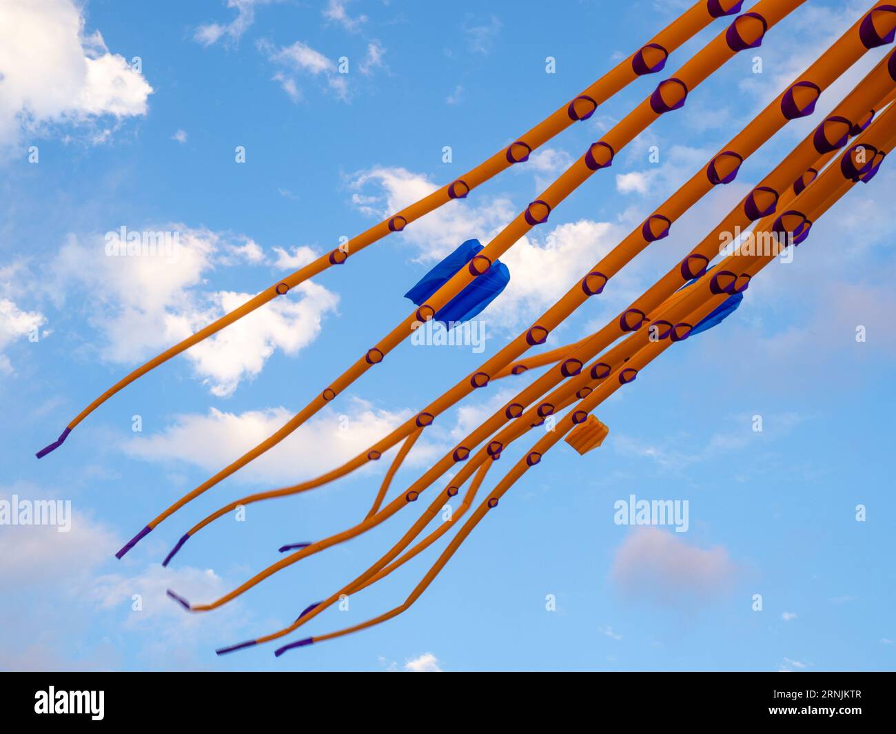 Kite Festival. Kites in the sky. A spectacle . Wind is like a force ...