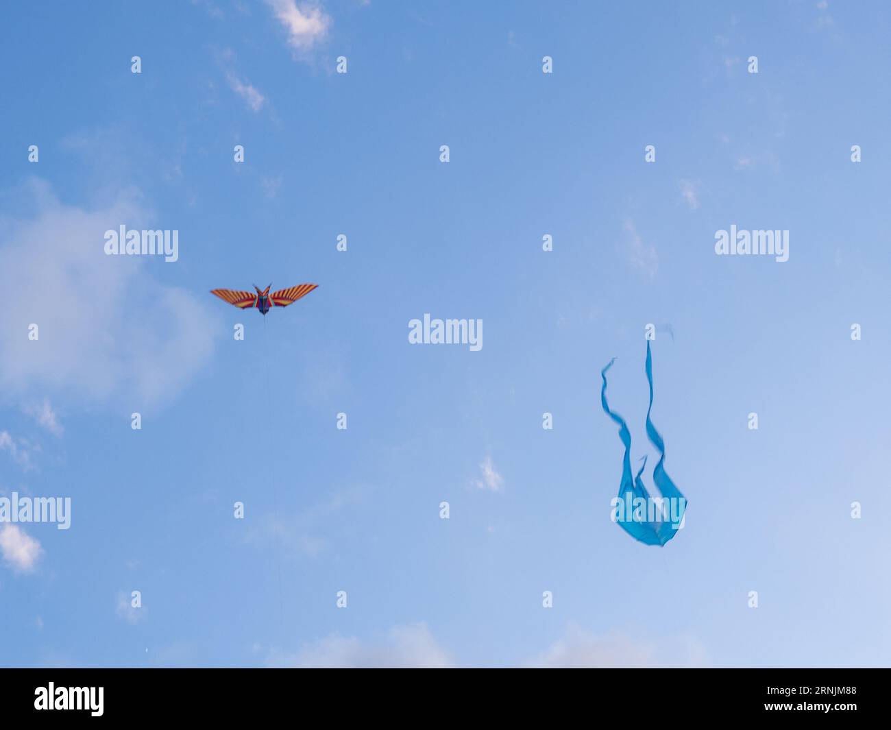 Kite Festival. Kites in the sky. A spectacle . Wind is like a force ...