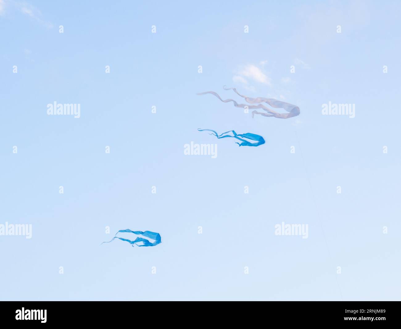 Kite Festival. Kites in the sky. A spectacle . Wind is like a force ...