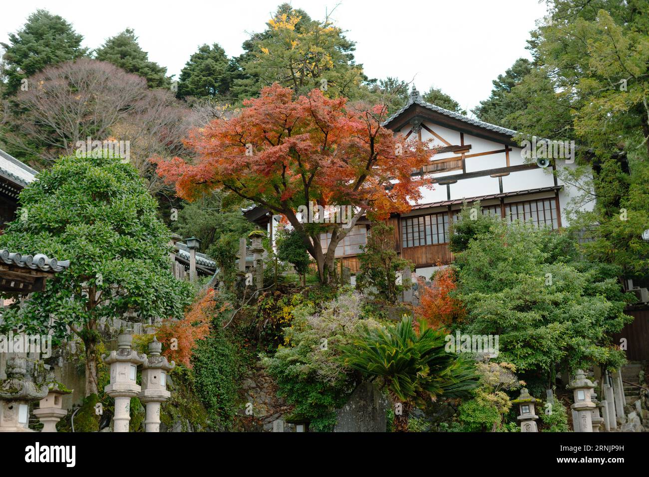 Nara park traditional temple at autumn in Nara, Japan Stock Photo - Alamy