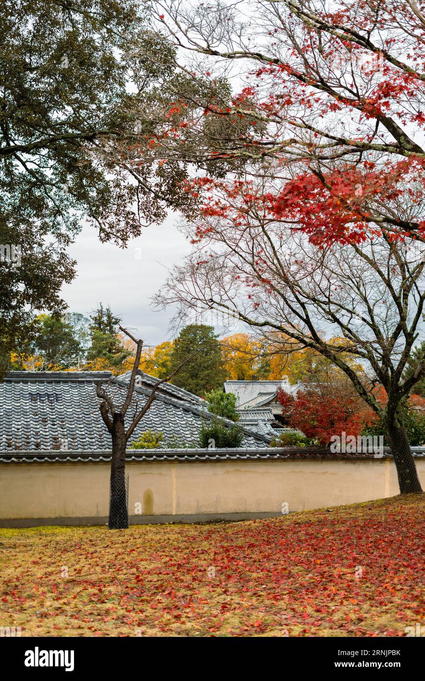 Nara park traditional temple with autumn leaves in Nara, Japan Stock ...