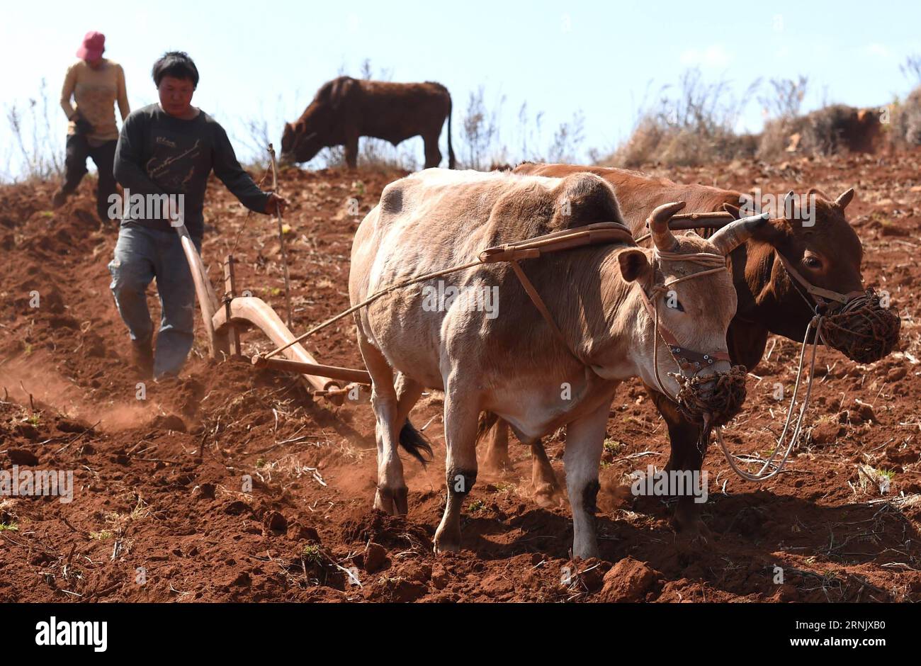 Swing plow hi-res stock photography and images - Alamy