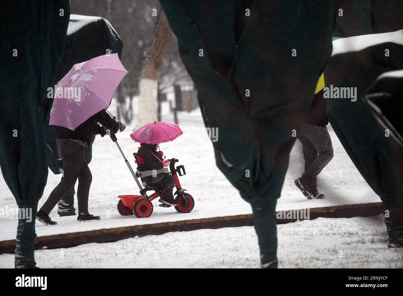 (170221) -- BEIJING, Feb. 21, 2017 -- People enjoy snow scenery at the ...