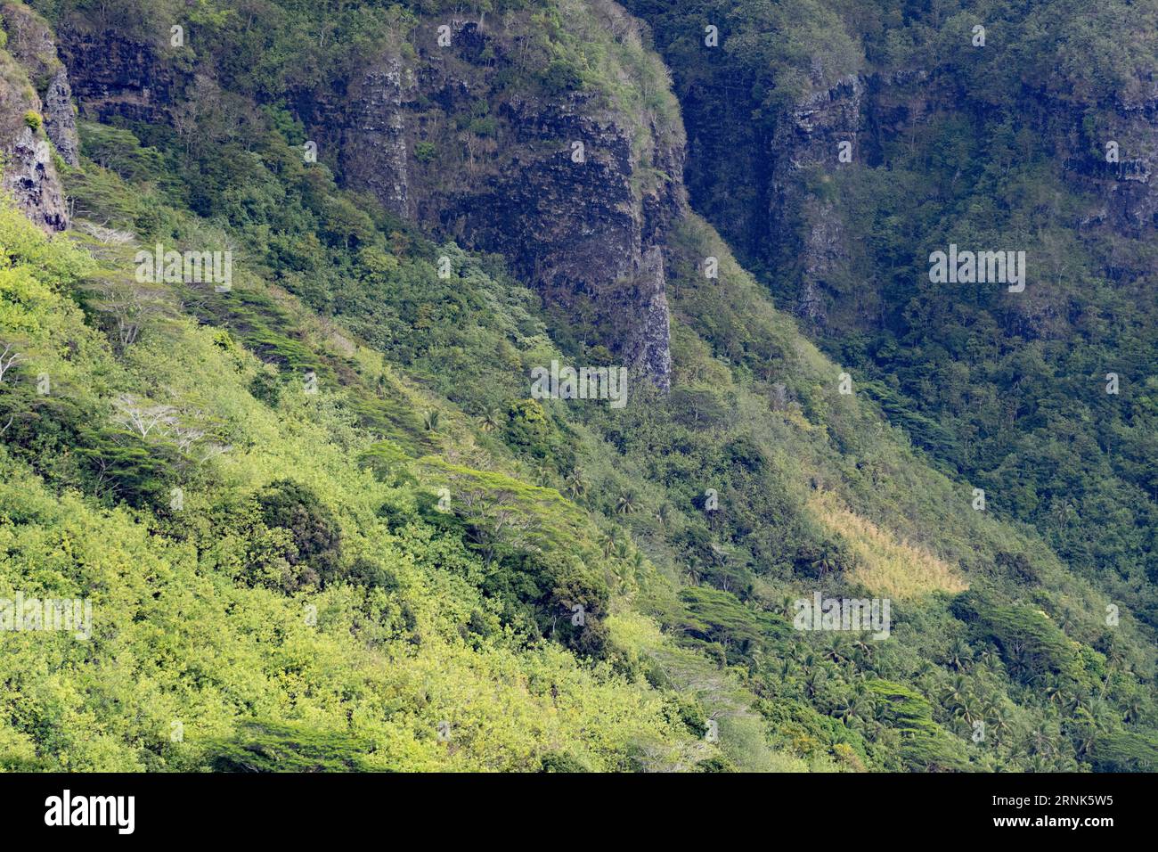 Moorea, French Polynesia. 28th Aug, 2023. Moorea on August 28, 2023 in ...